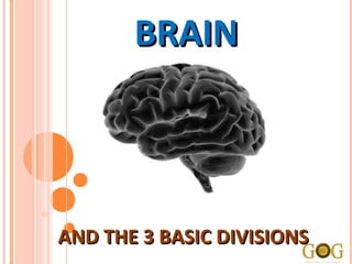 GOG BRAIN MAP PRESENTATION | PPT
