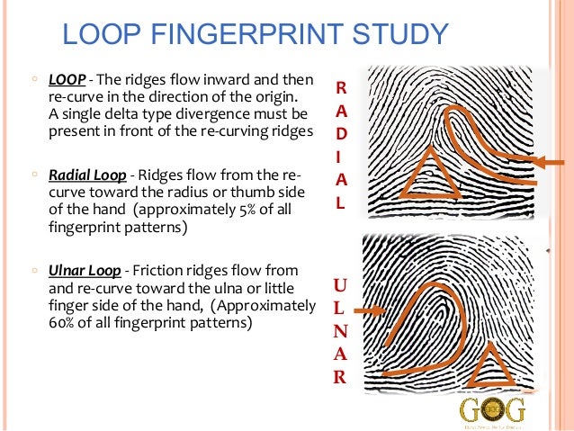 GOG BRAIN MAP PRESENTATION