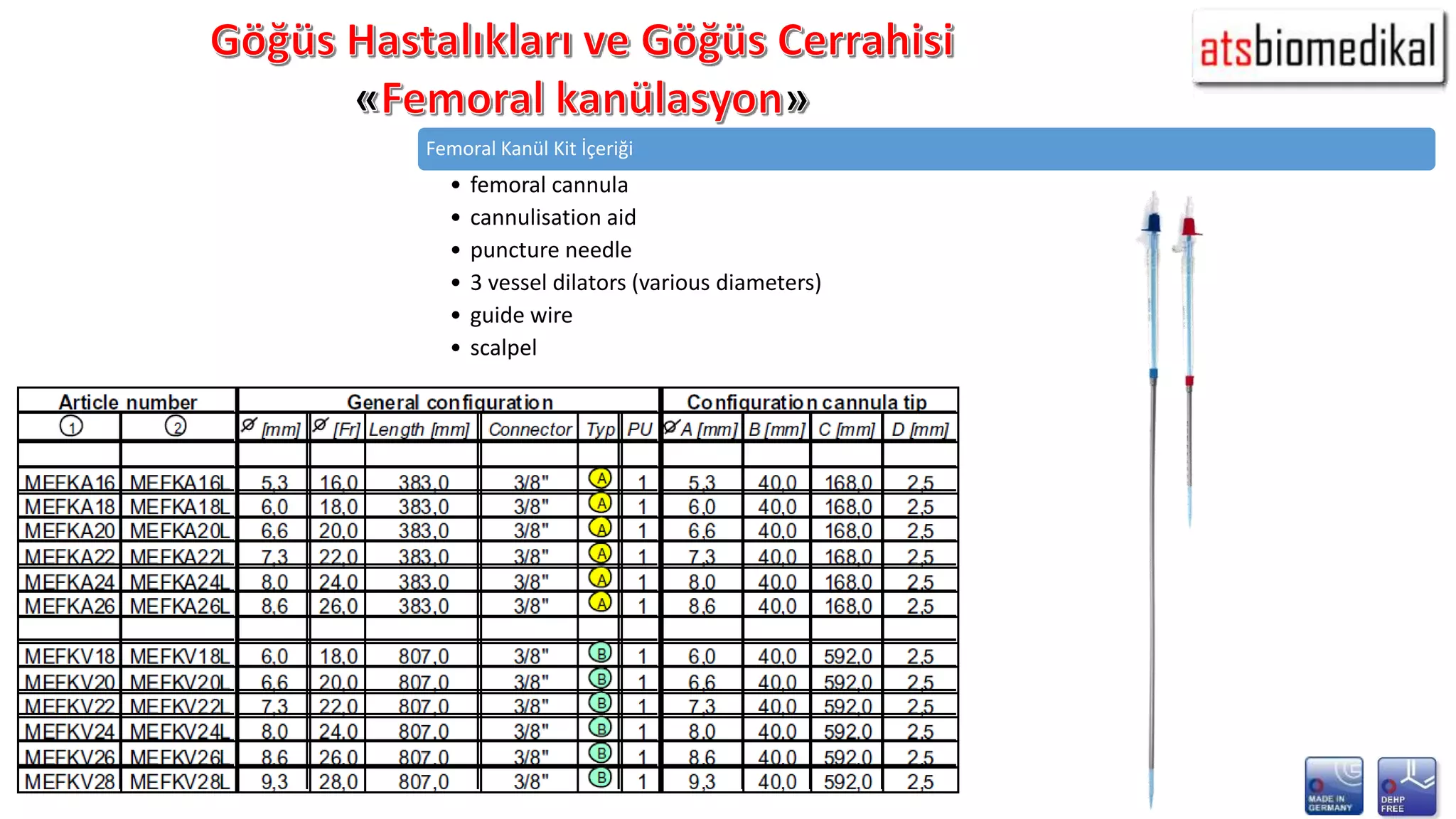 Gogus 5slyt | PPTX