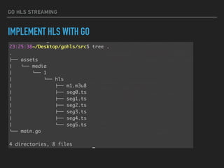 Implementing HLS server with GO | PDF