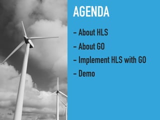 Implementing HLS server with GO | PDF