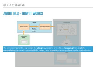 Implementing HLS server with GO | PDF
