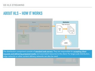 Implementing HLS server with GO | PDF