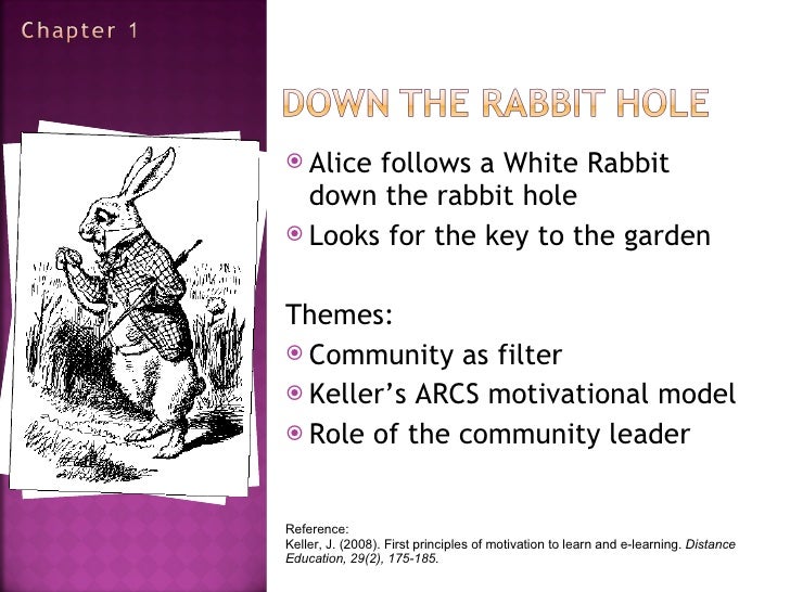 Going Down The Rabbit Hole