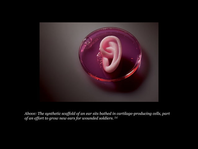 Growing Human Organs: The Future of Transplants | PPT