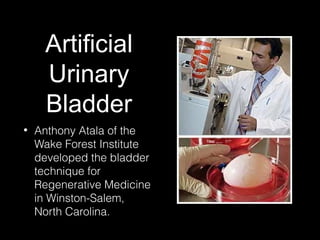 Growing Human Organs: The Future of Transplants | PPT