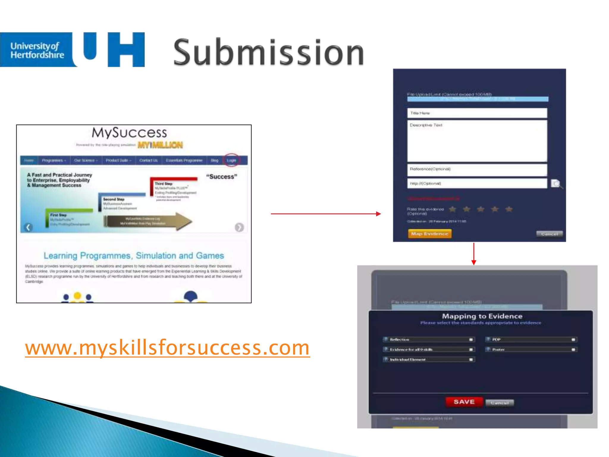 Placement Portfolio Process 2014-15 | PPTX