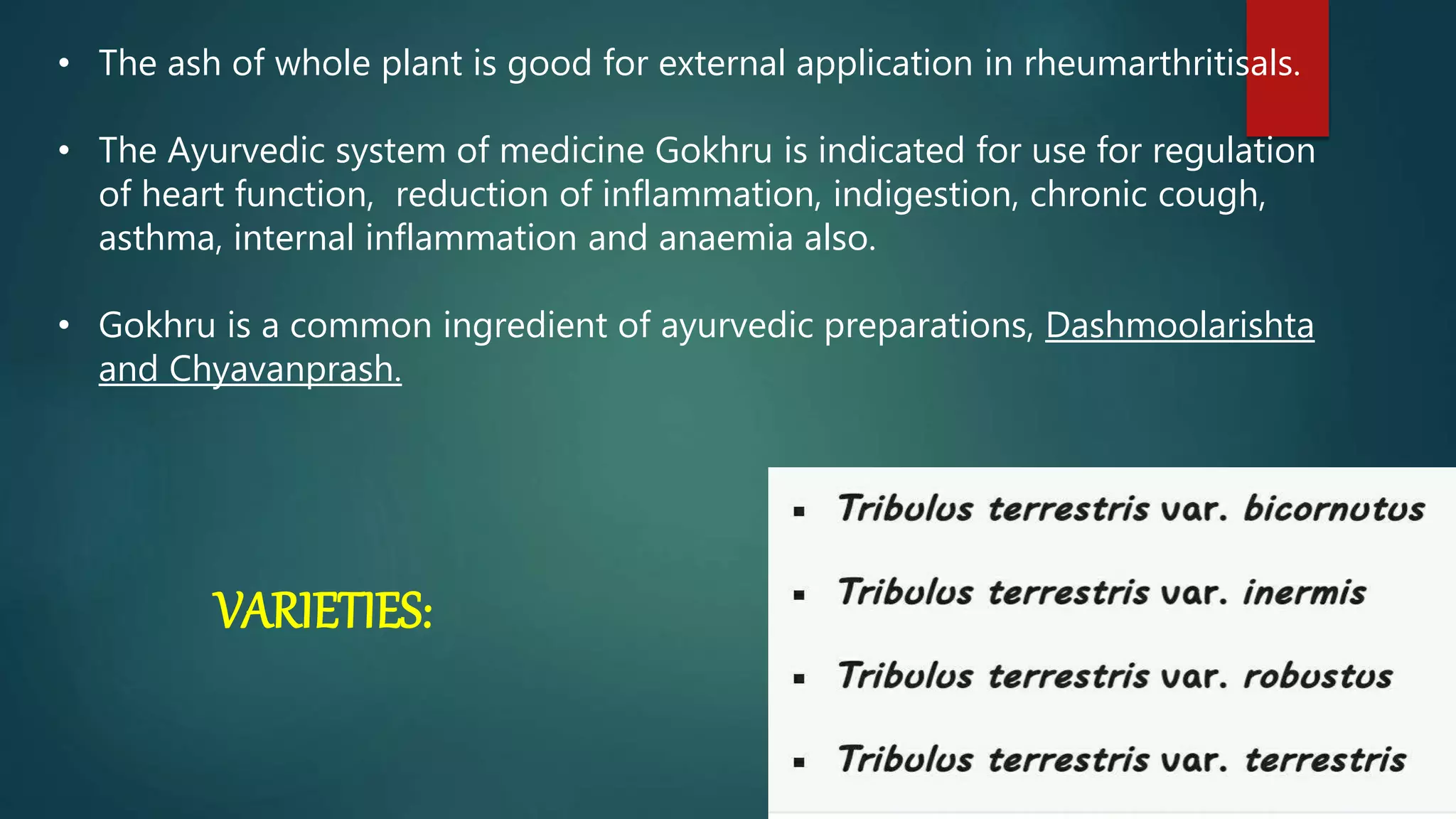 Gokhru | PPTX