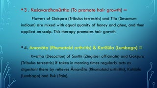 gokshura. Drugs Of ayurvedic Drugs Dravyaguna | PDF