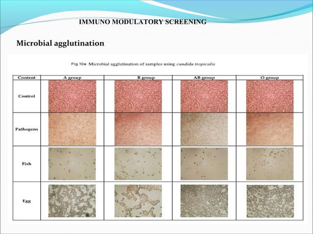 Scorpion fish -Toxin and its potential effect | PPT