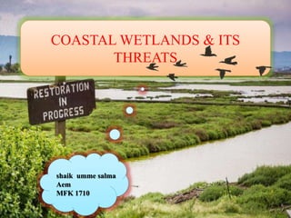 coastal wetland and its thereats | PPTX