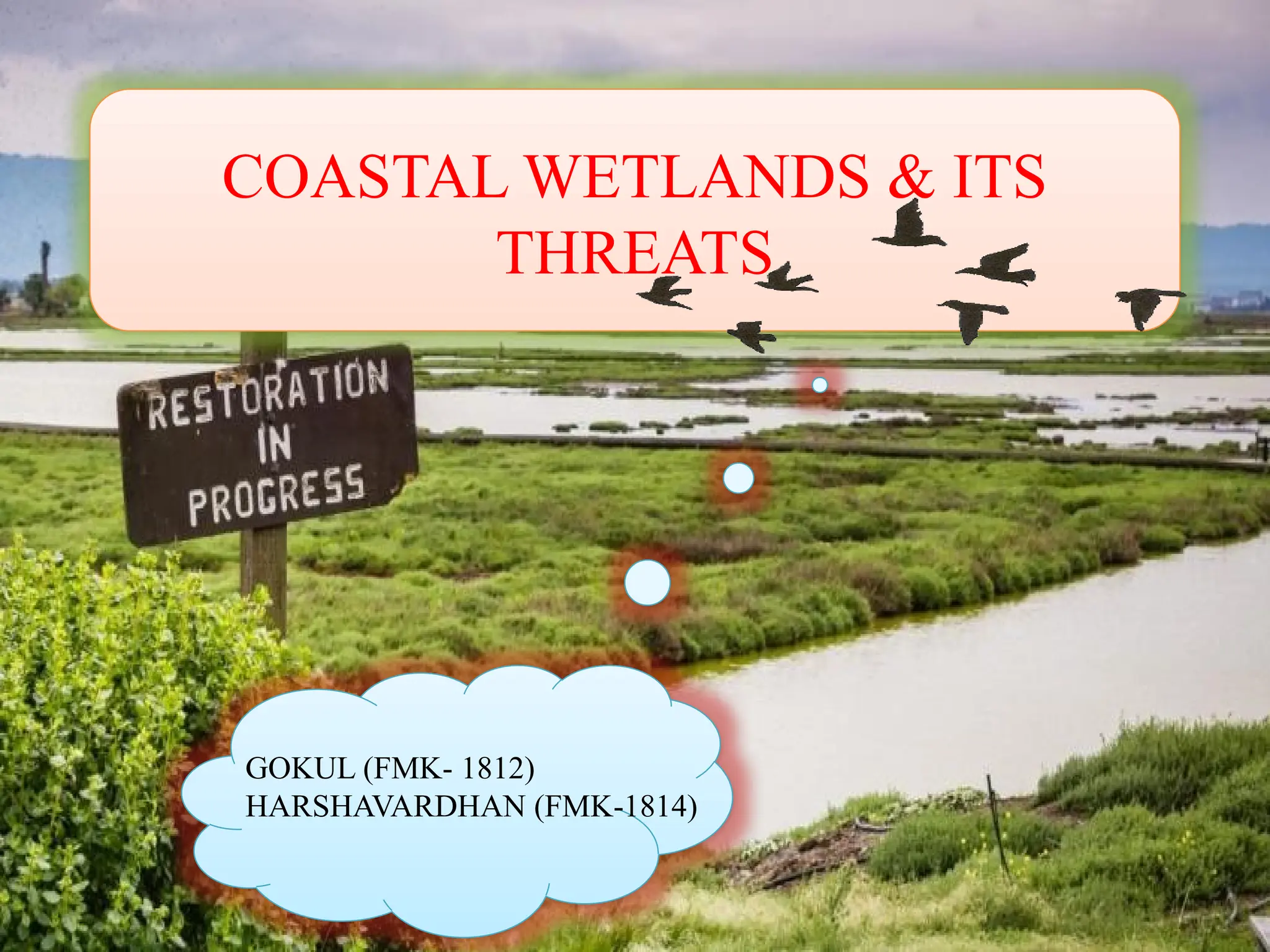 COASTAL WETLANDS AND ITS THREATS RESTORE | PPTX