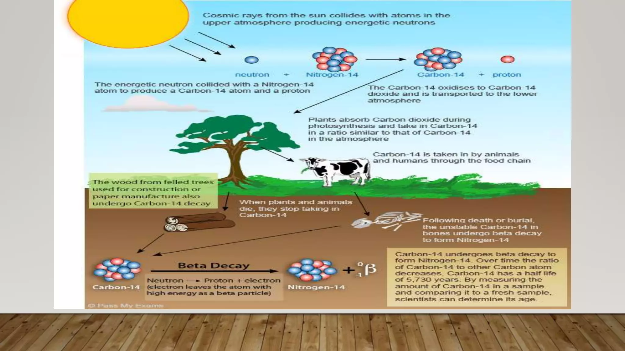 Radiocarbon dating | PPTX