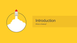 Fundamentals of Golang | PPSX