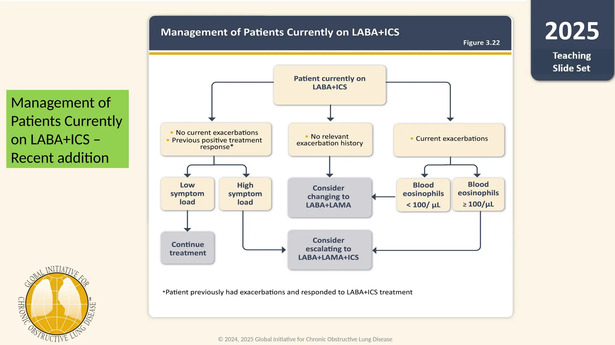 GOLD-2025_recent updates and change.pptx