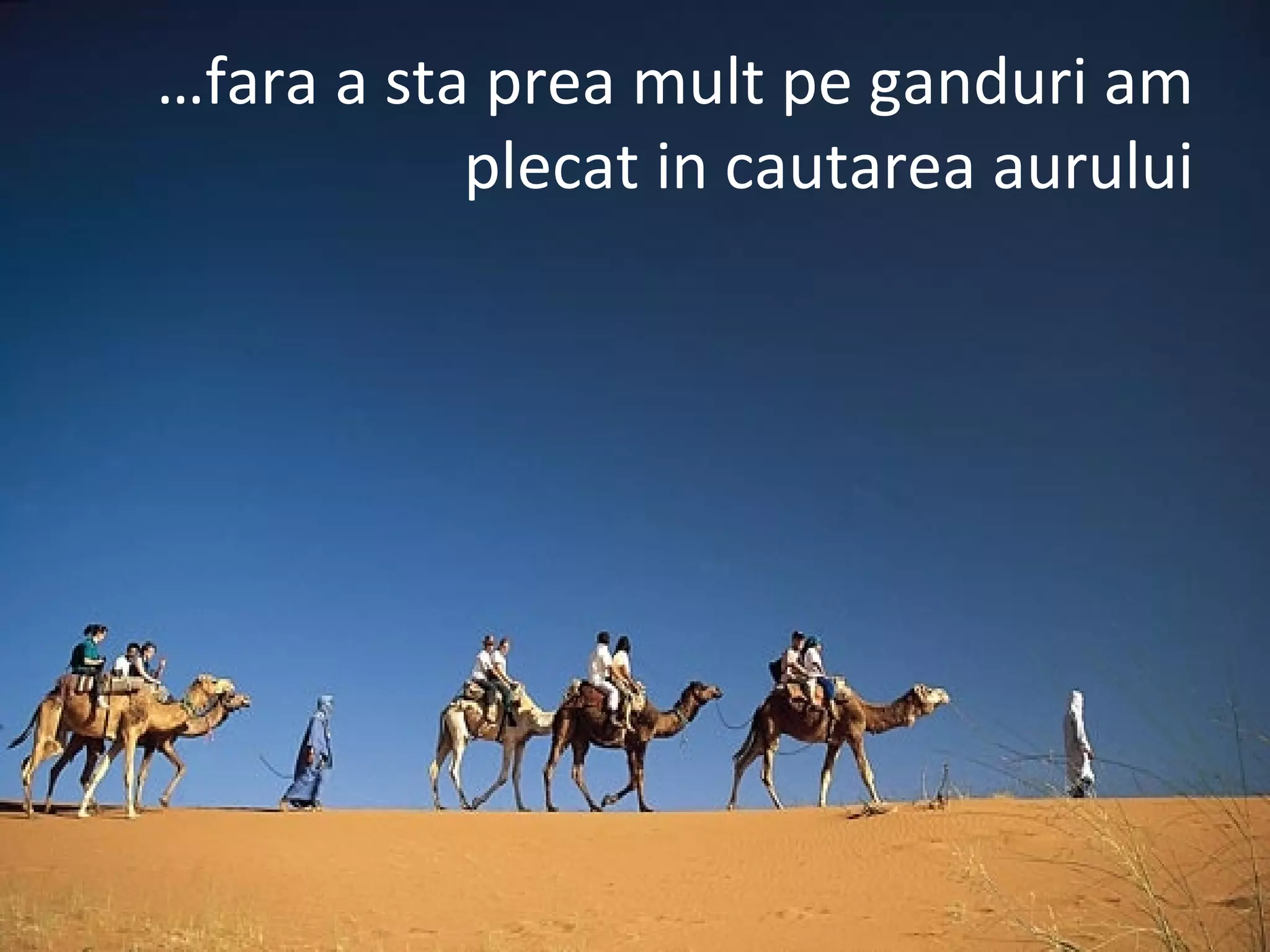 Gold Of The Dsert Kings | PPS