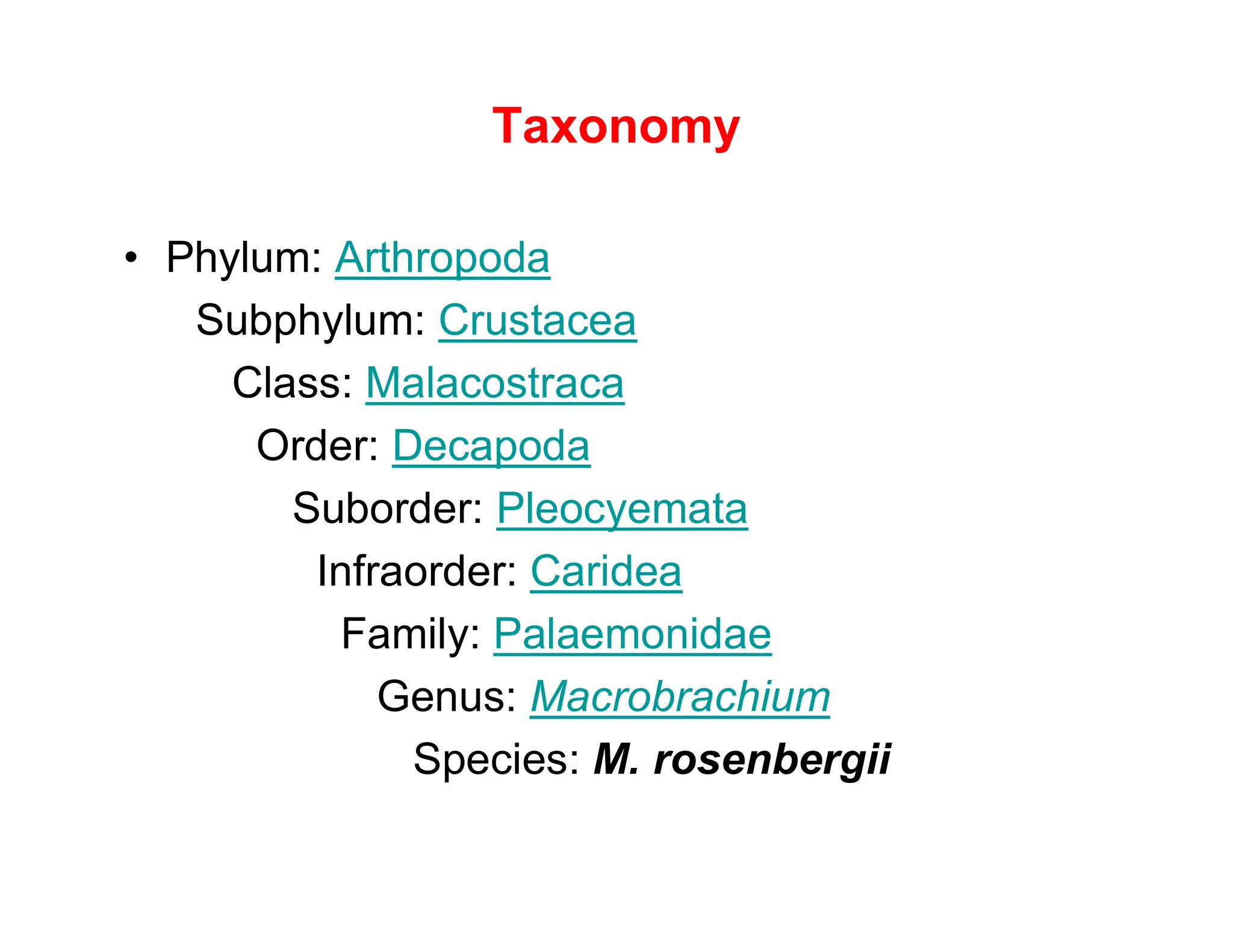 Macrobrachium rosenbergii (Golda) -Shellfish Biology | PDF