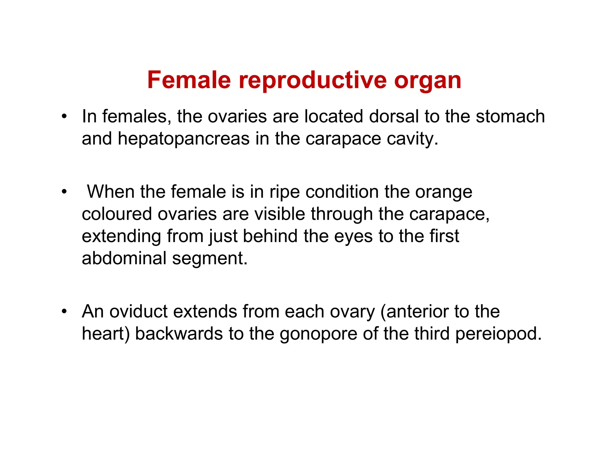 Macrobrachium rosenbergii (Golda) -Shellfish Biology | PDF