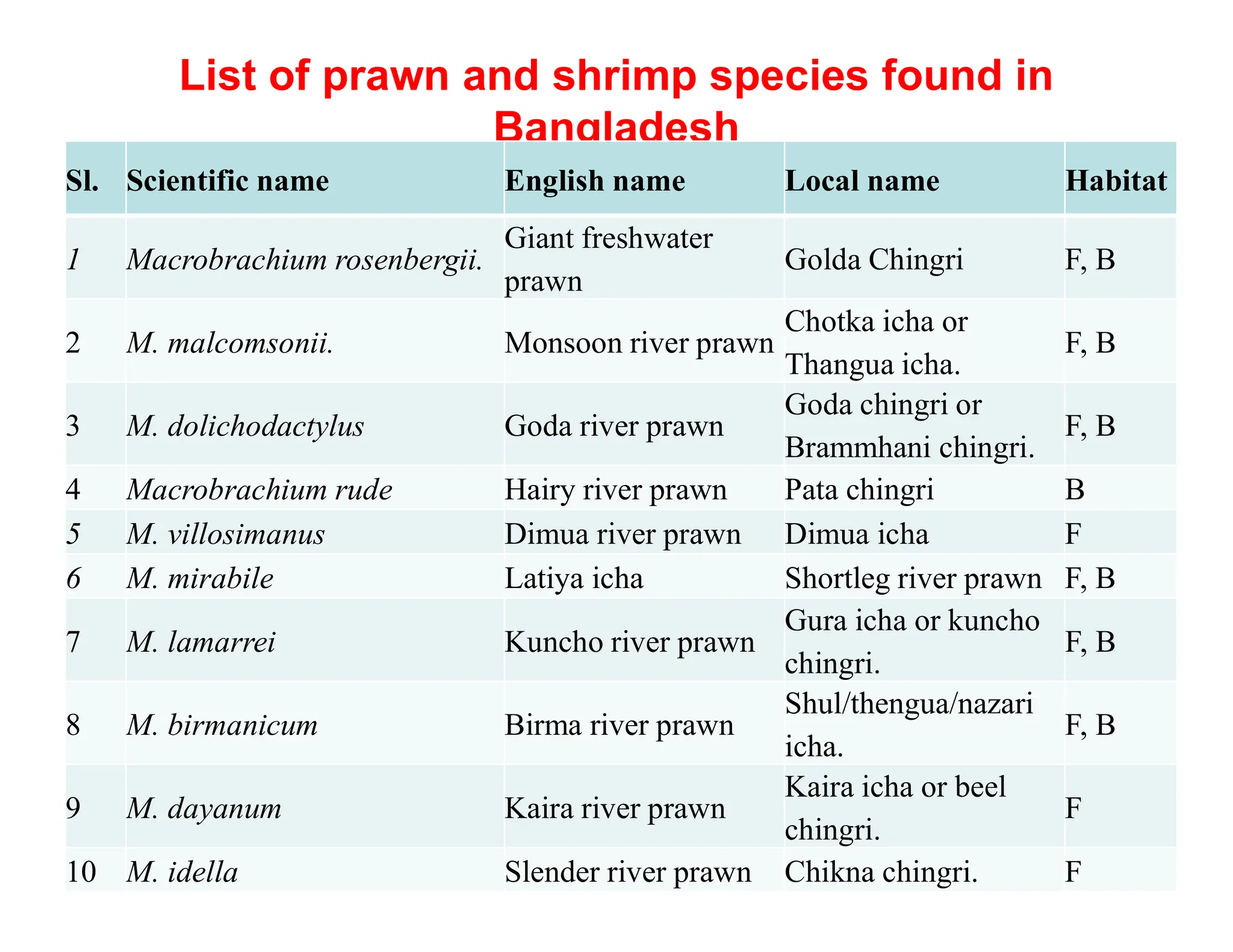 Macrobrachium rosenbergii (Golda) -Shellfish Biology | PDF