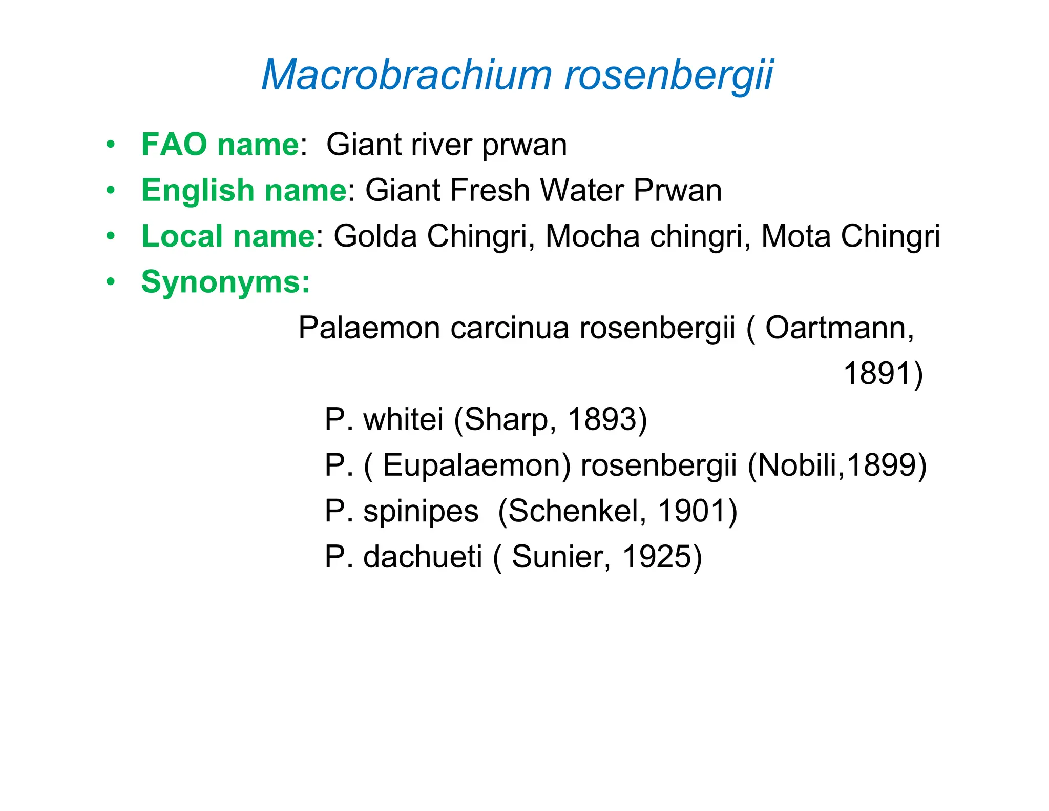 Macrobrachium rosenbergii (Golda) -Shellfish Biology | PDF