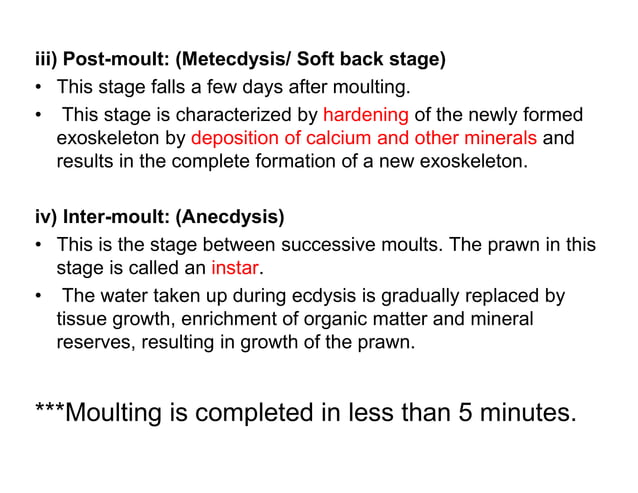 Macrobrachium rosenbergii (Golda) -Shellfish Biology | PDF