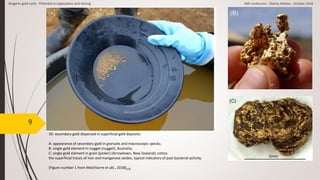 Gold biogenesis - Oberto (2018) | PPT