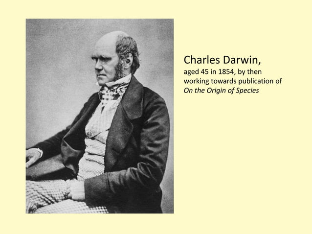 Gold changed everything | PPTX