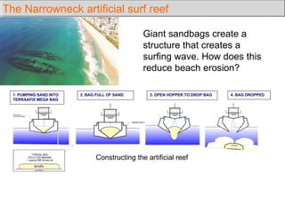 Gold coast management | PPT