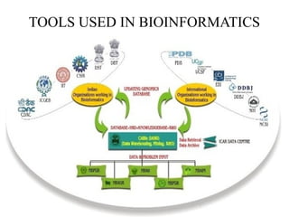 goldenbiotechnologythe bioinformatics.pptx