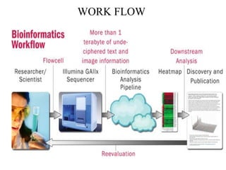 goldenbiotechnologythe bioinformatics.pptx