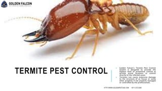 Golden pest | PPT