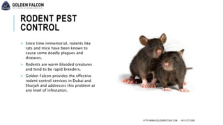 Golden pest | PPT