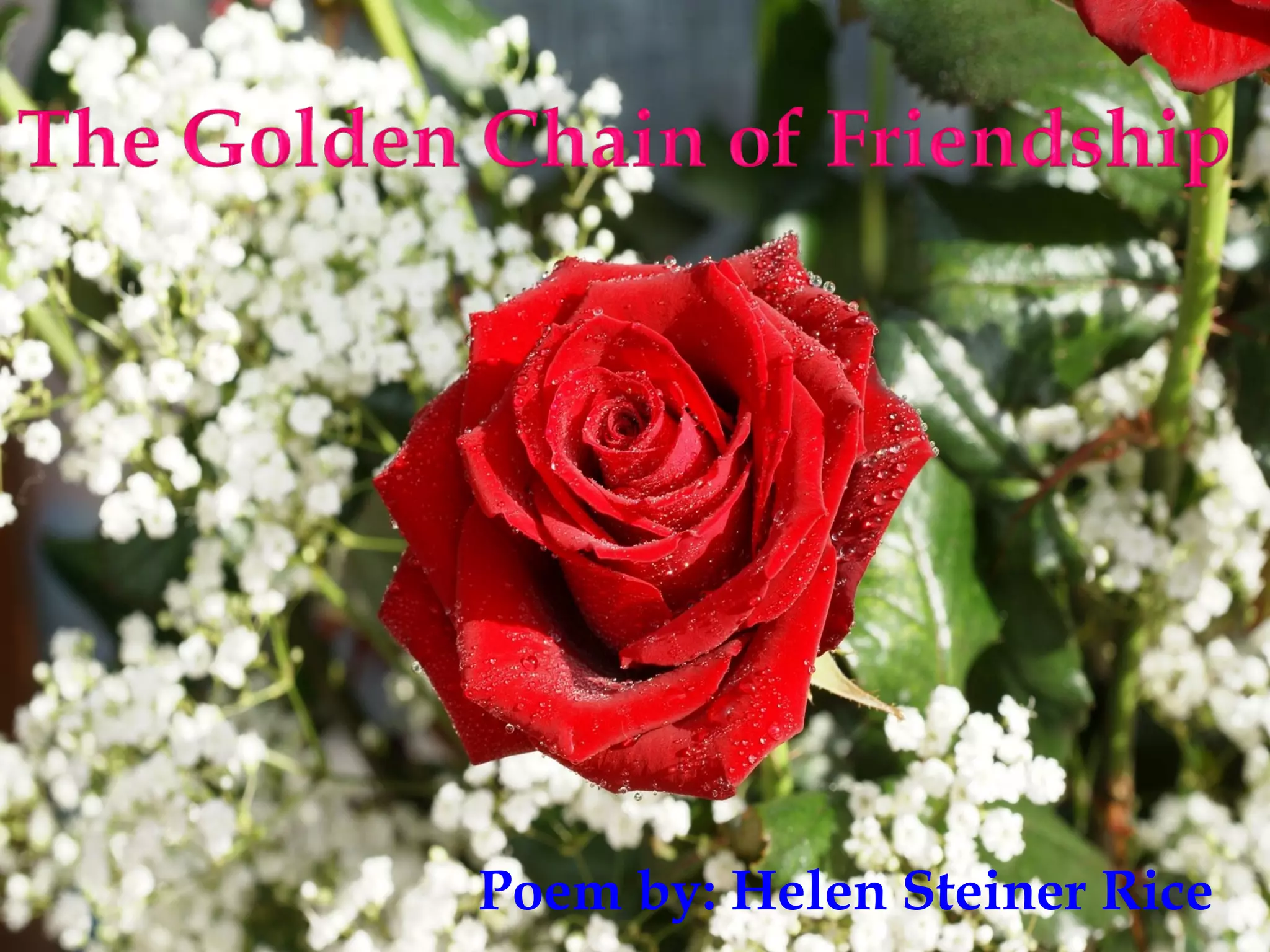 Golden Chain Of Friendship | PPS | Poetry | Books and Literature