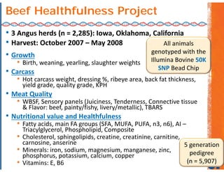 Genomic Analyses for Palatability of Beef | PDF