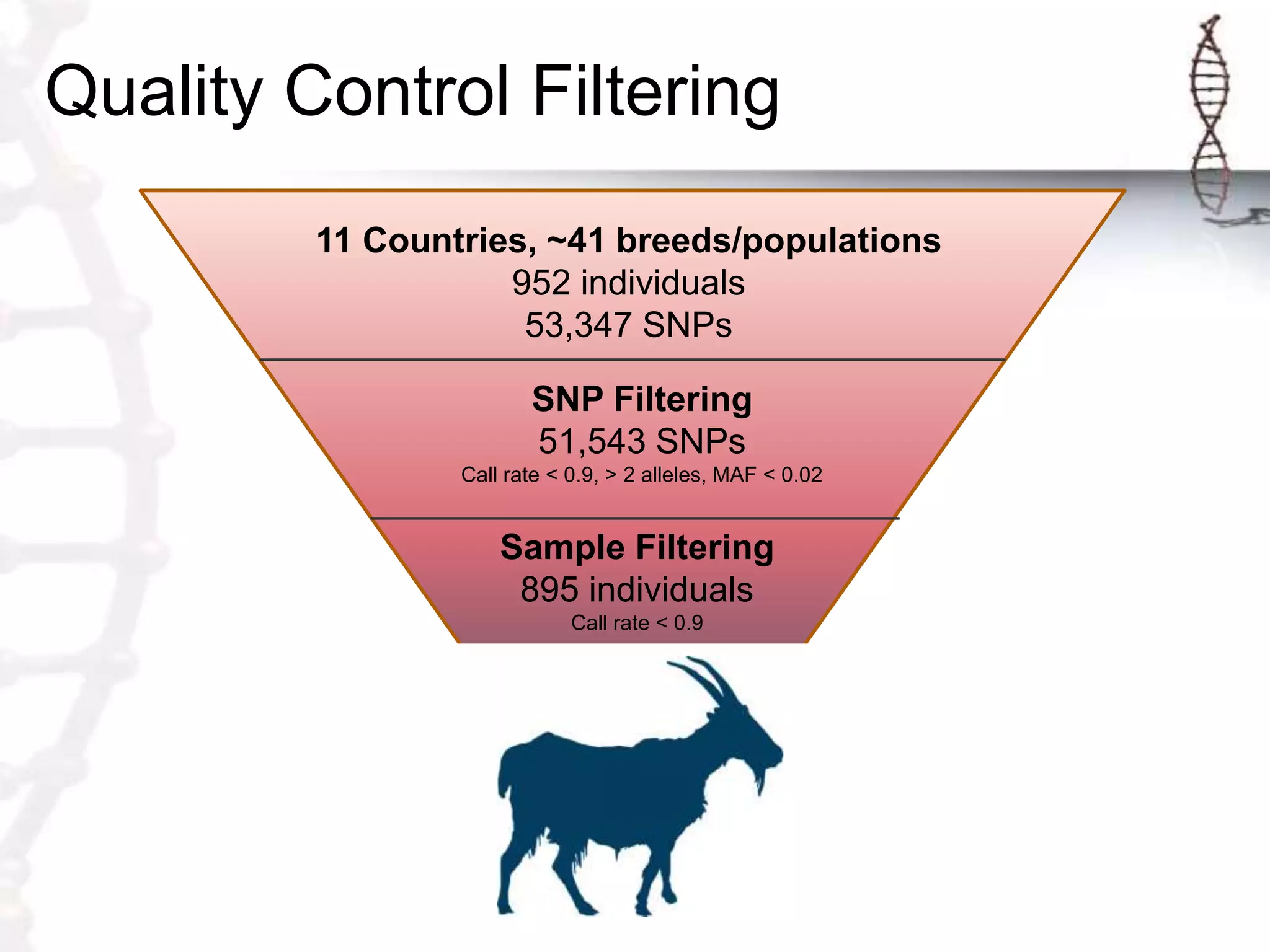 Population Structure & Genetic Improvement in Livestock | PPTX