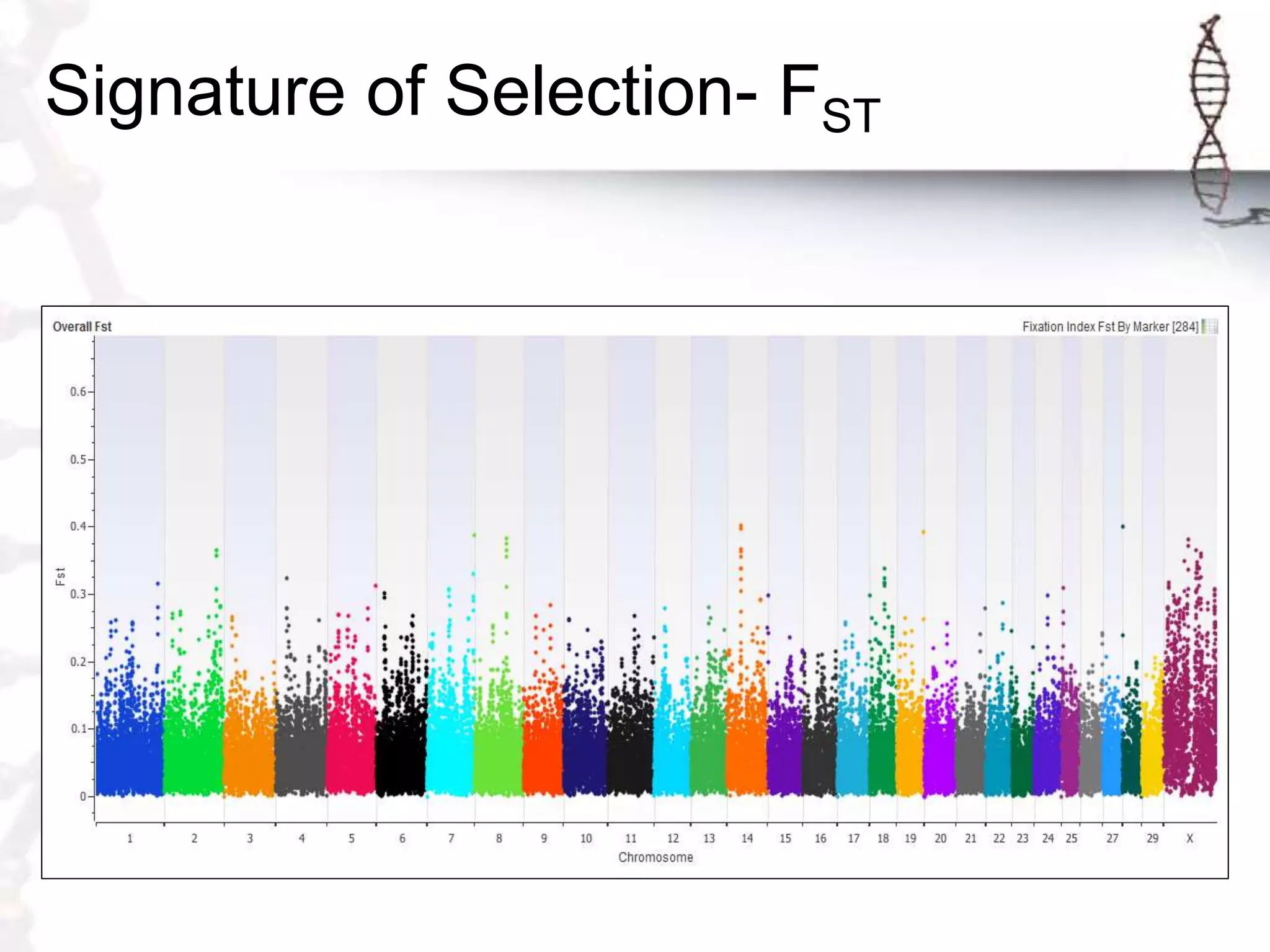 Population Structure & Genetic Improvement in Livestock | PPTX