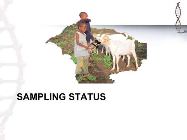 Population Structure & Genetic Improvement in Livestock | PPTX