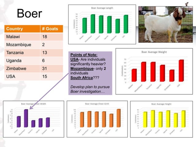 Population Structure & Genetic Improvement in Livestock | PPTX