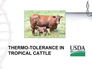 Population Structure & Genetic Improvement in Livestock | PPTX