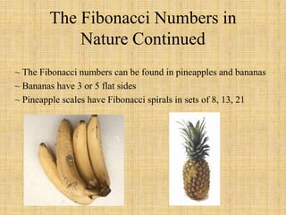 Fibonacci Sequence In Fruit