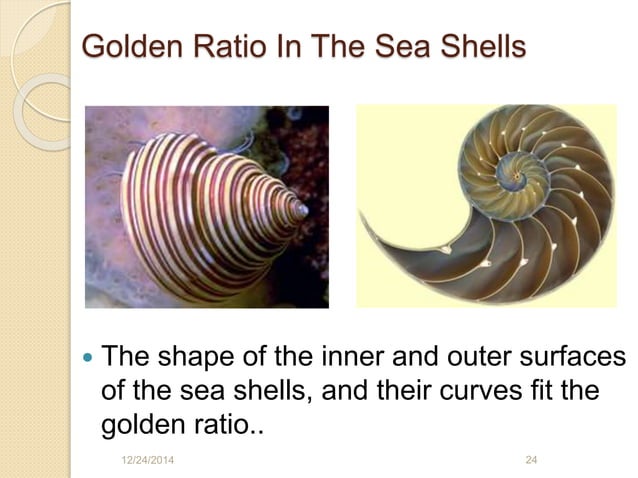 Golden ratio