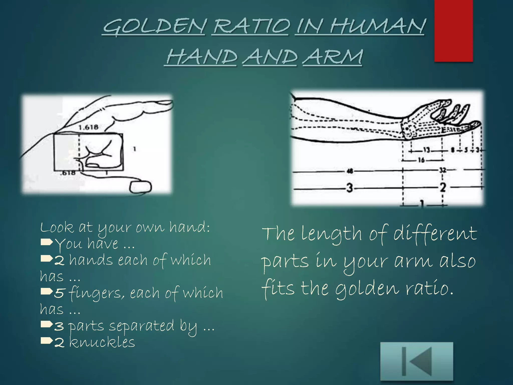 Golden ratio | PPTX