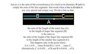 The Golden Ratio | PPTX