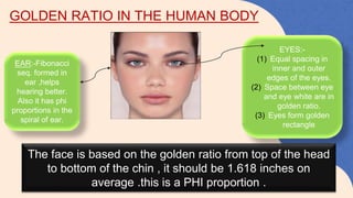 Golden ratio ND it's application . | PPT