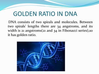 Golden ratio | PPT