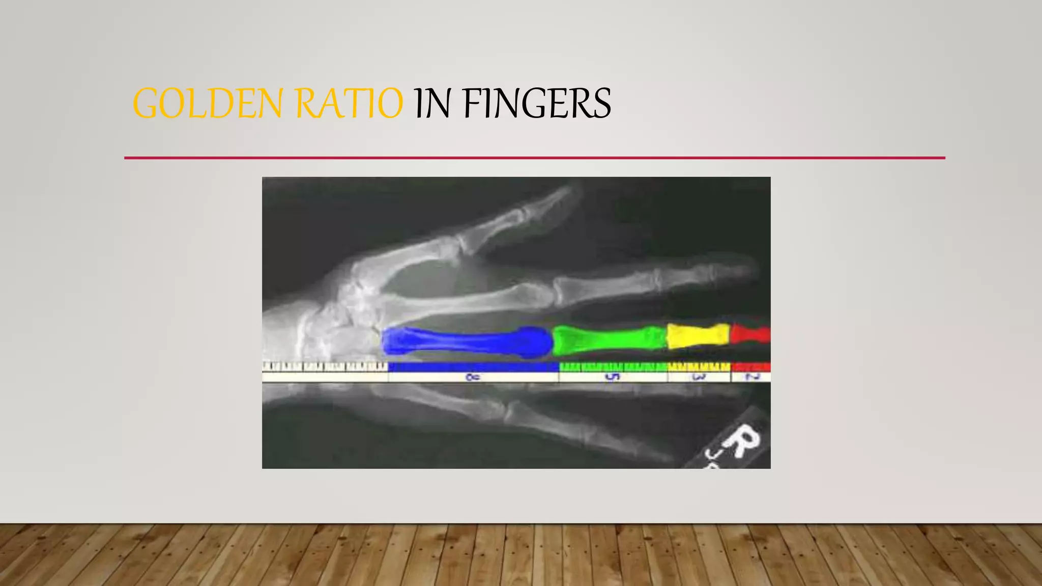 Golden ratio | PPTX