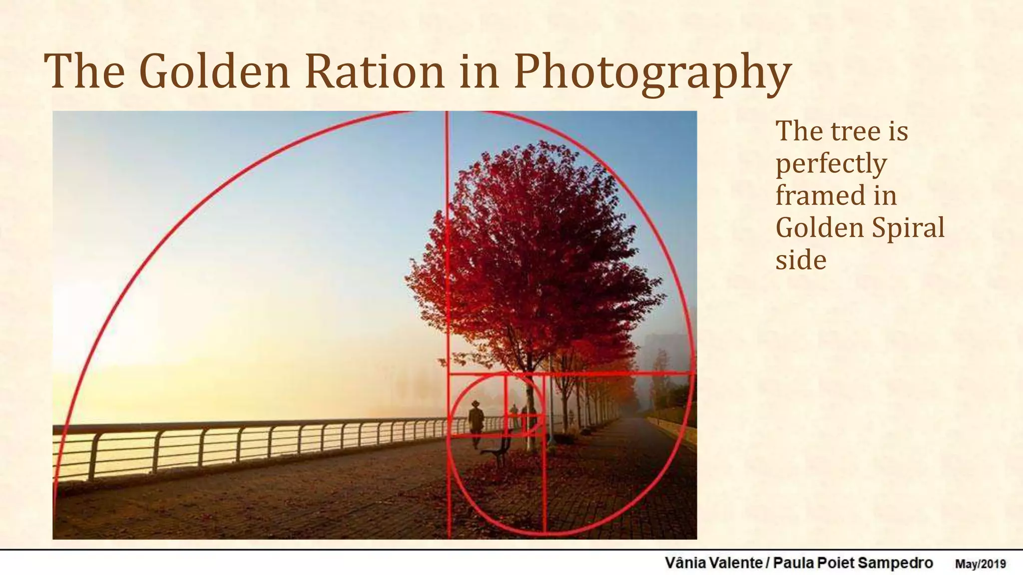 Golden Ratio: Definitions and Applications on Graphical Representations | PPTX