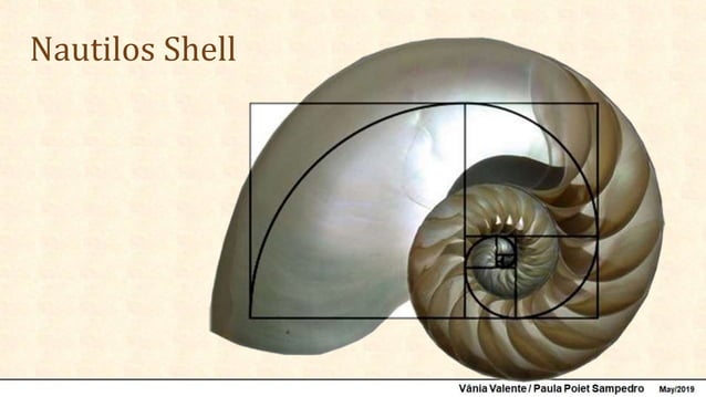 Golden Ratio: Definitions and Applications on Graphical Representations | PPTX