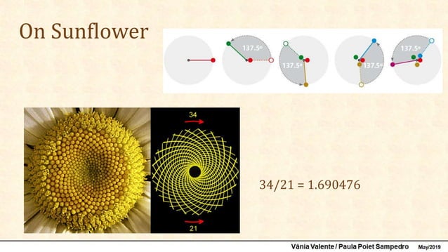 Golden Ratio: Definitions and Applications on Graphical Representations | PPTX