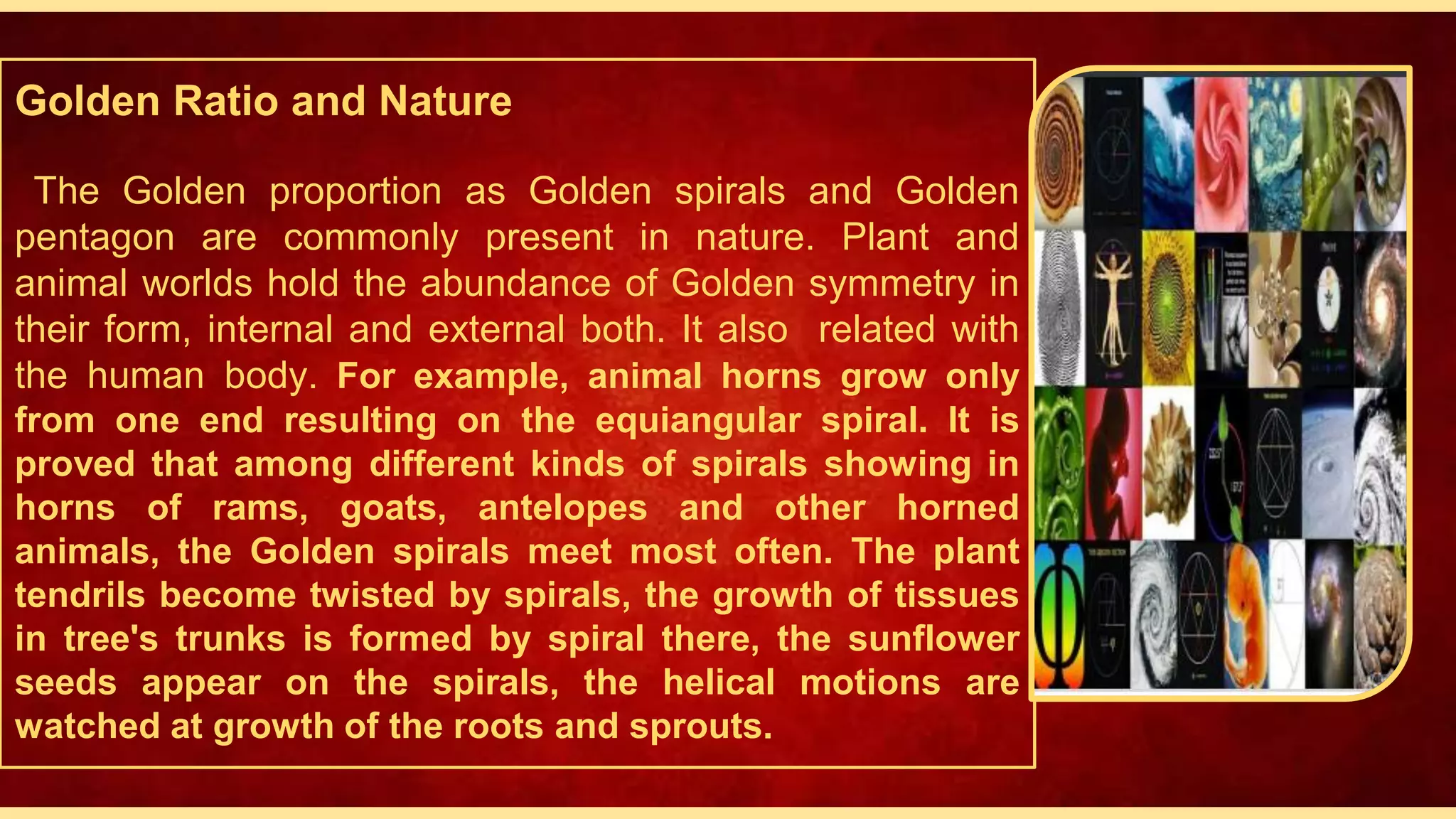 Golden ratio and da vinci code. | PPTX